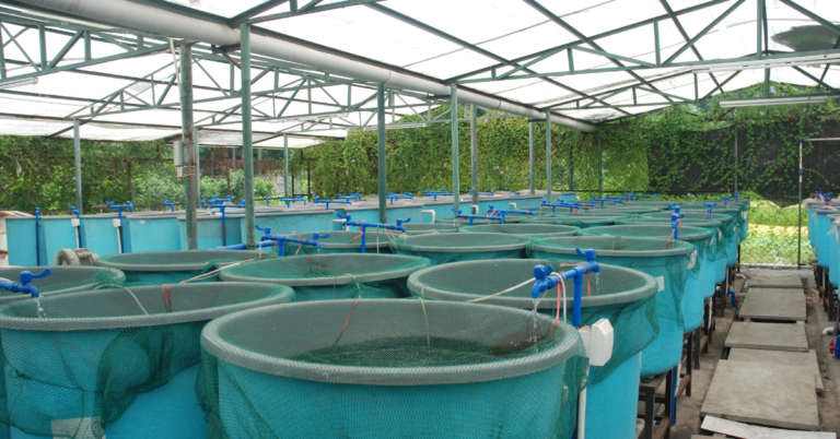 Revised Appendix to the Preventive Controls for Human Food Guidance ...